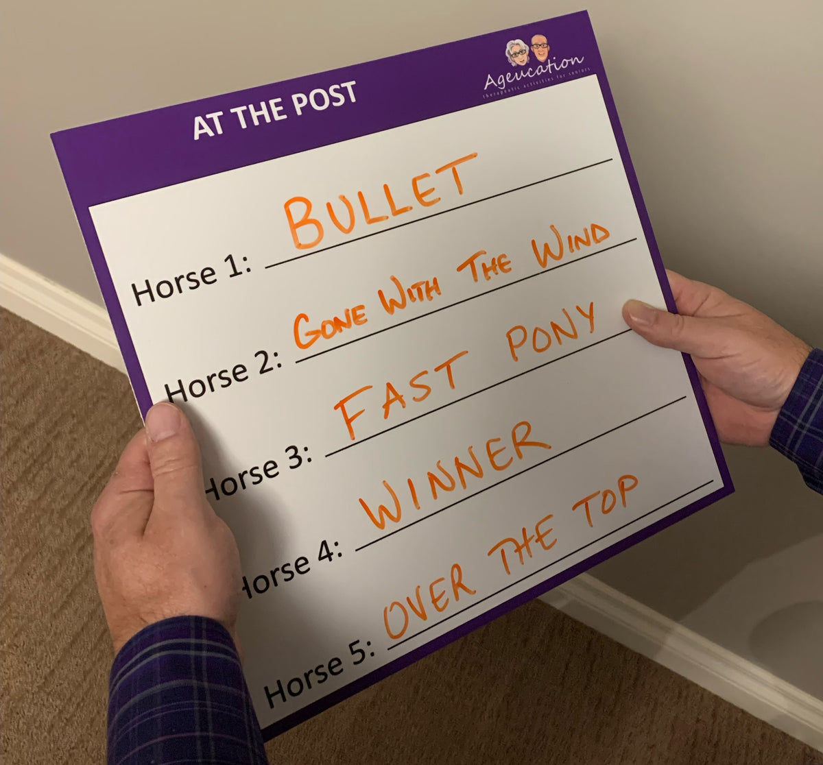 Derby Day Horse Racing Game - Dementia Interventions – Ageucation Inc.